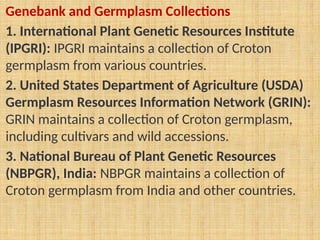 breeding of flowers crops and ornamentalspptx | PPT