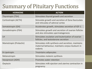Organisation of Endocrine Glands 1.pdf44 | PDF