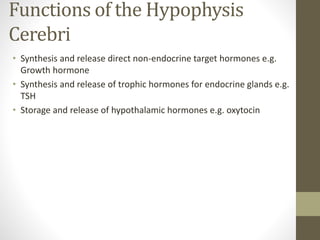 Organisation of Endocrine Glands 1.pdf44 | PDF