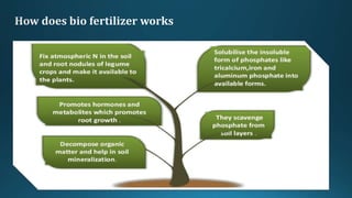 Bio-fertilizers | PPTX