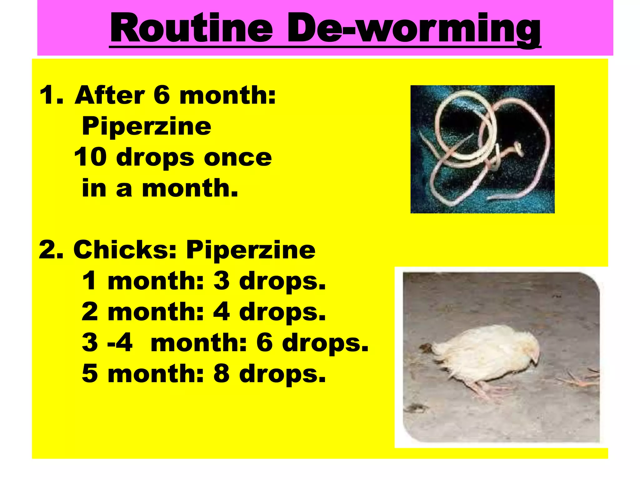Deworming vaccination of poultry | PPTX