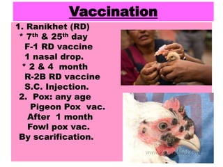 Deworming vaccination of poultry | PPTX