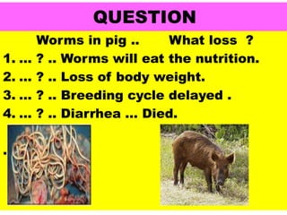 Deworming vaccination of poultry | PPTX