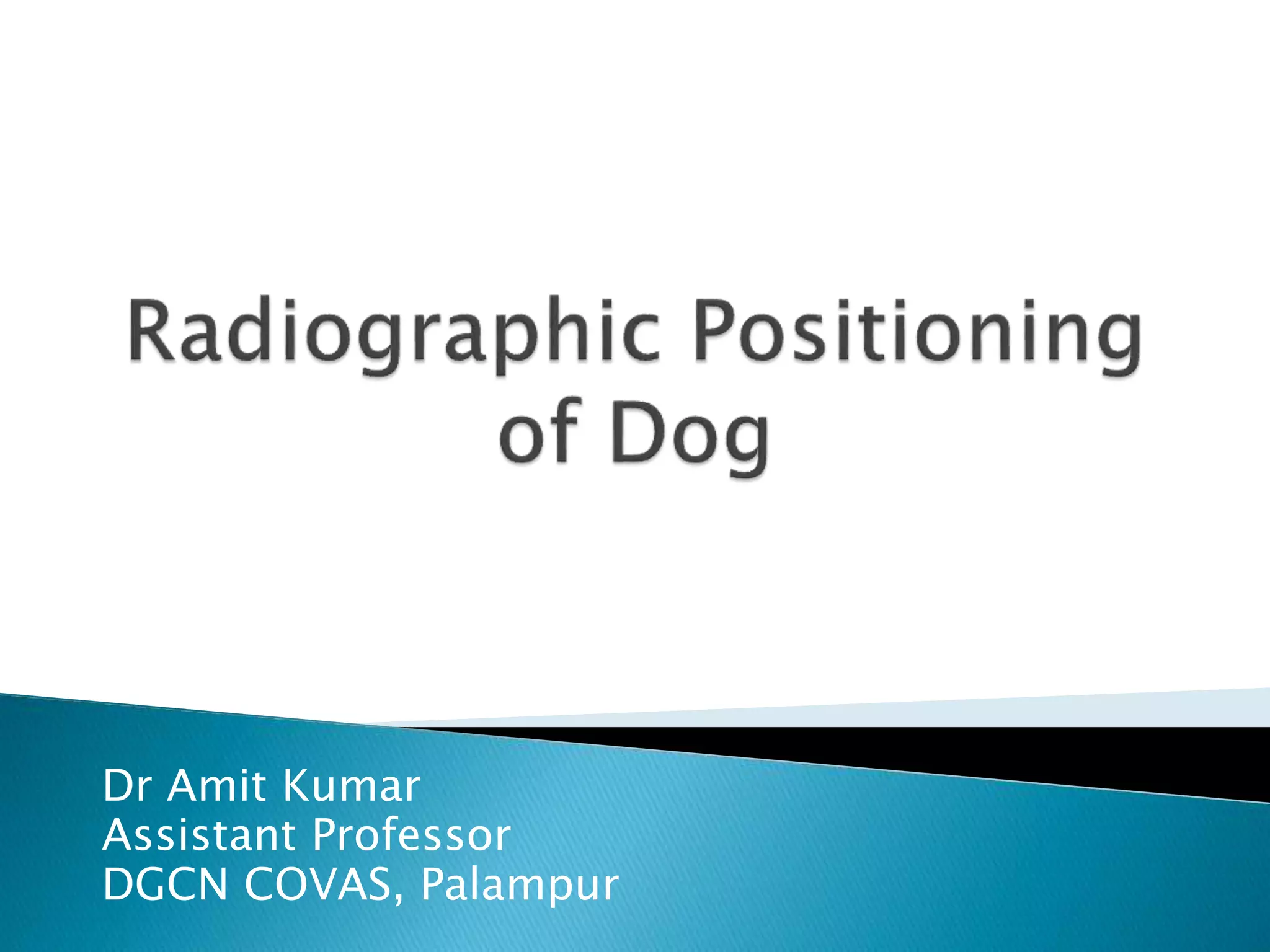 Rkvy radiographic positioning of dog | PPTX