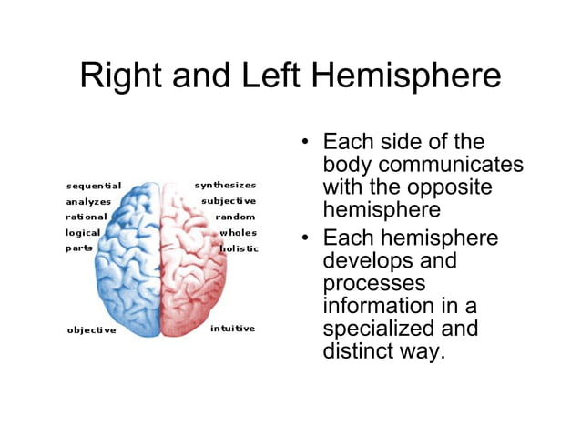 Right Left Hemispheres | PPT