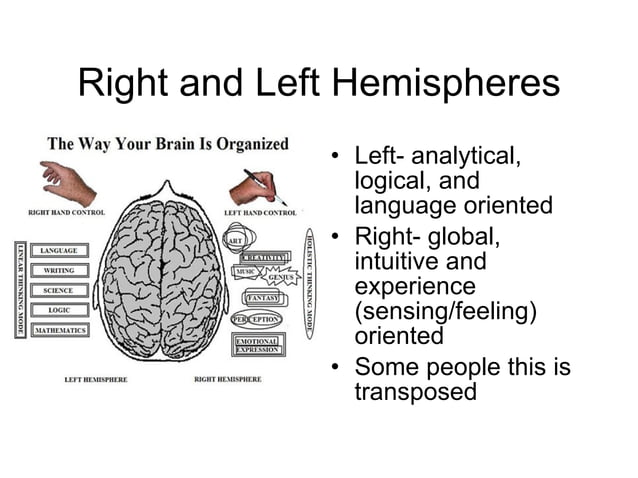 Right Left Hemispheres | PPT