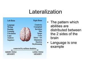 Right Left Hemispheres | PPT