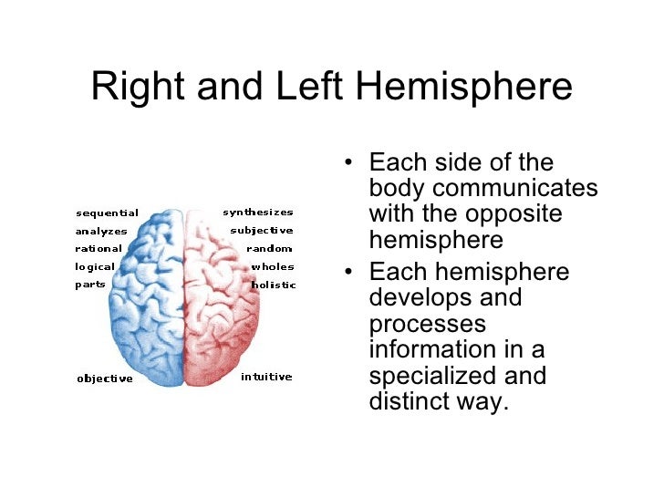 Left And Right Hemisphere Test – UMMLR
