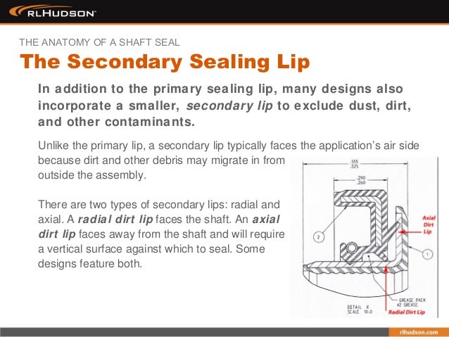 Understanding the Function of Radial Lip Shaft Seals