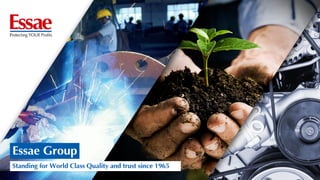 Essae Digitronics RLS & Grain Silo Solutions | PDF