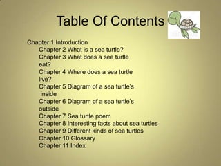 Sea Turtles | PPTX