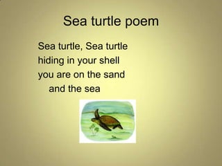 Sea Turtles | PPTX