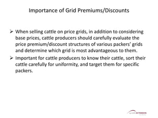 Grid pricing of feed lot cattle and market | PPT