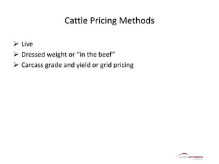 Grid pricing of feed lot cattle and market | PPT