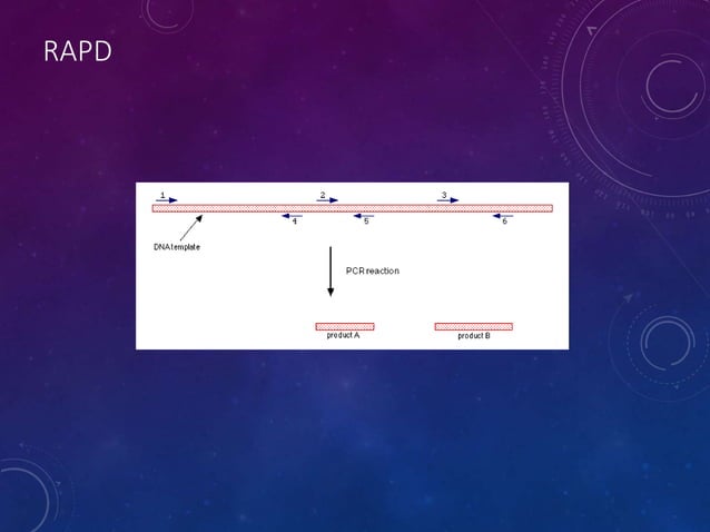 RESTRICTION MAPPING | PPT