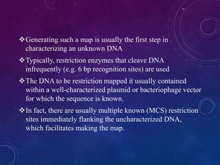 RESTRICTION MAPPING | PPT