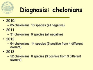 Ranaviruses in snakes, lizards and chelonians | PPT | Reptiles | Pets