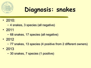 Ranaviruses in snakes, lizards and chelonians | PPT | Reptiles | Pets