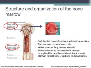 Cells and organs of Immune systems | PPTX