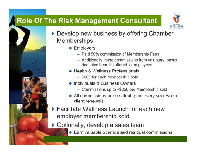 Risk Management Consultant Introduction | PDF | Wellness | Healthy Living