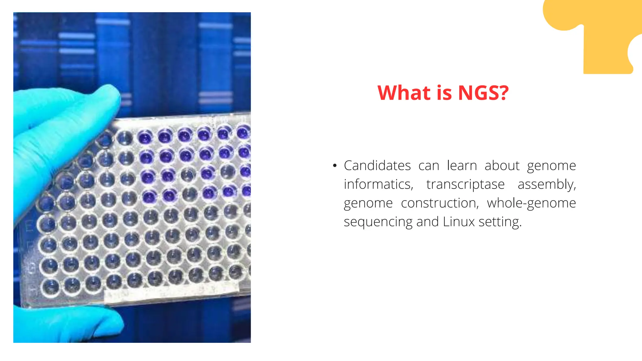 Next generation sequencing (NGS) training | PPT
