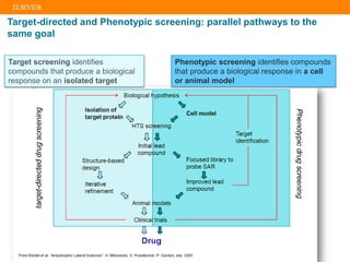 Rmc phenotypic screening | PDF