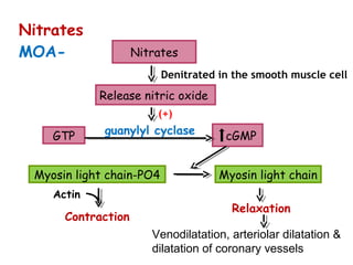 14.antianginal drugs | PPT