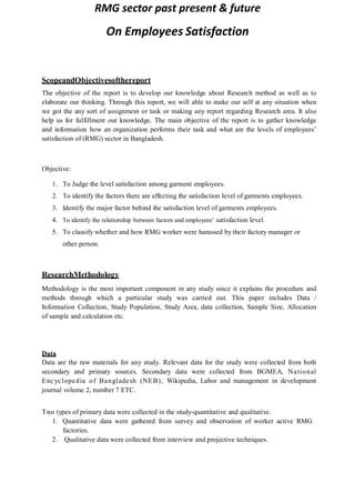 Rmg sector past present & future | PDF