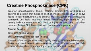 Chapter 4 enzymes and vitamins | PPT | Blood Disorders | Diseases and ...