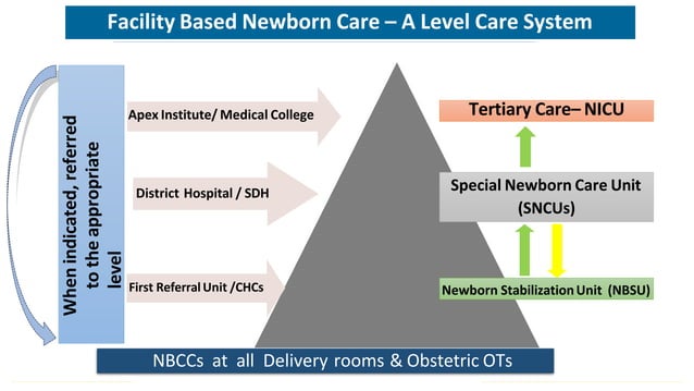 RMNCAH+N.pptx | Infertility | Reproductive Health