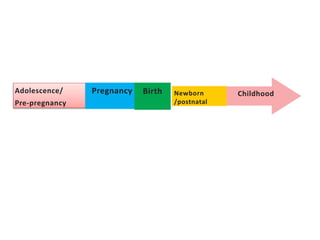 Reproductive, Maternal, Newborn, Child and Adolescent Health RMNCHA | PPTX