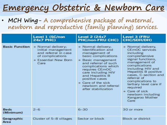 RMNCH+A strategy: Reproductive, Maternal, neonatal, child and ...
