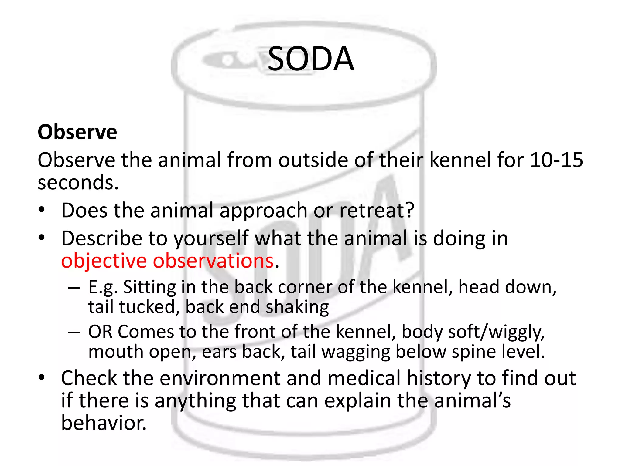 Safe Animal Handling Part 3 | PPTX | Ear, Nose and Throat Conditions ...