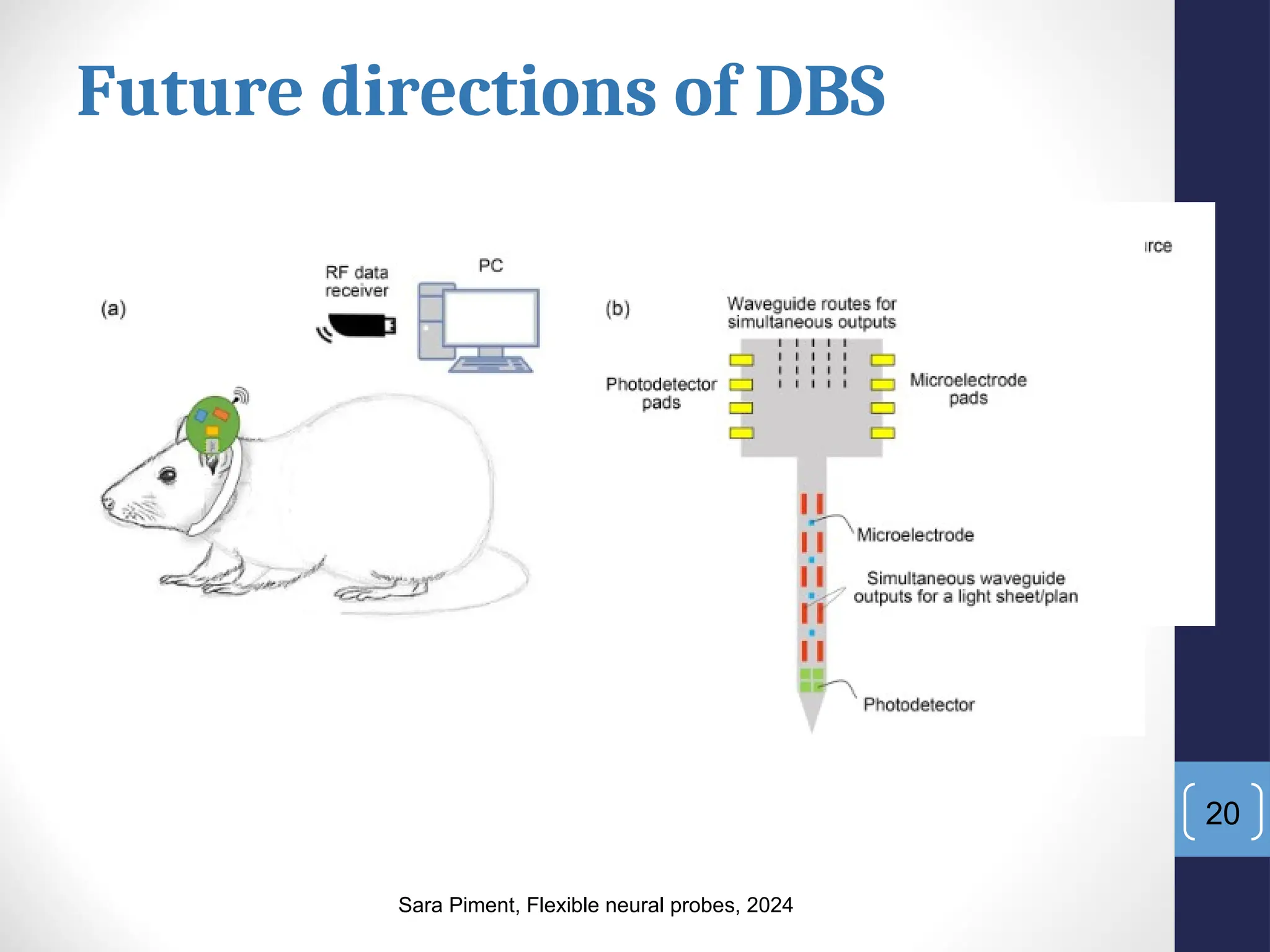 Deep Brain Stimulation (DBS) and targets.ppt