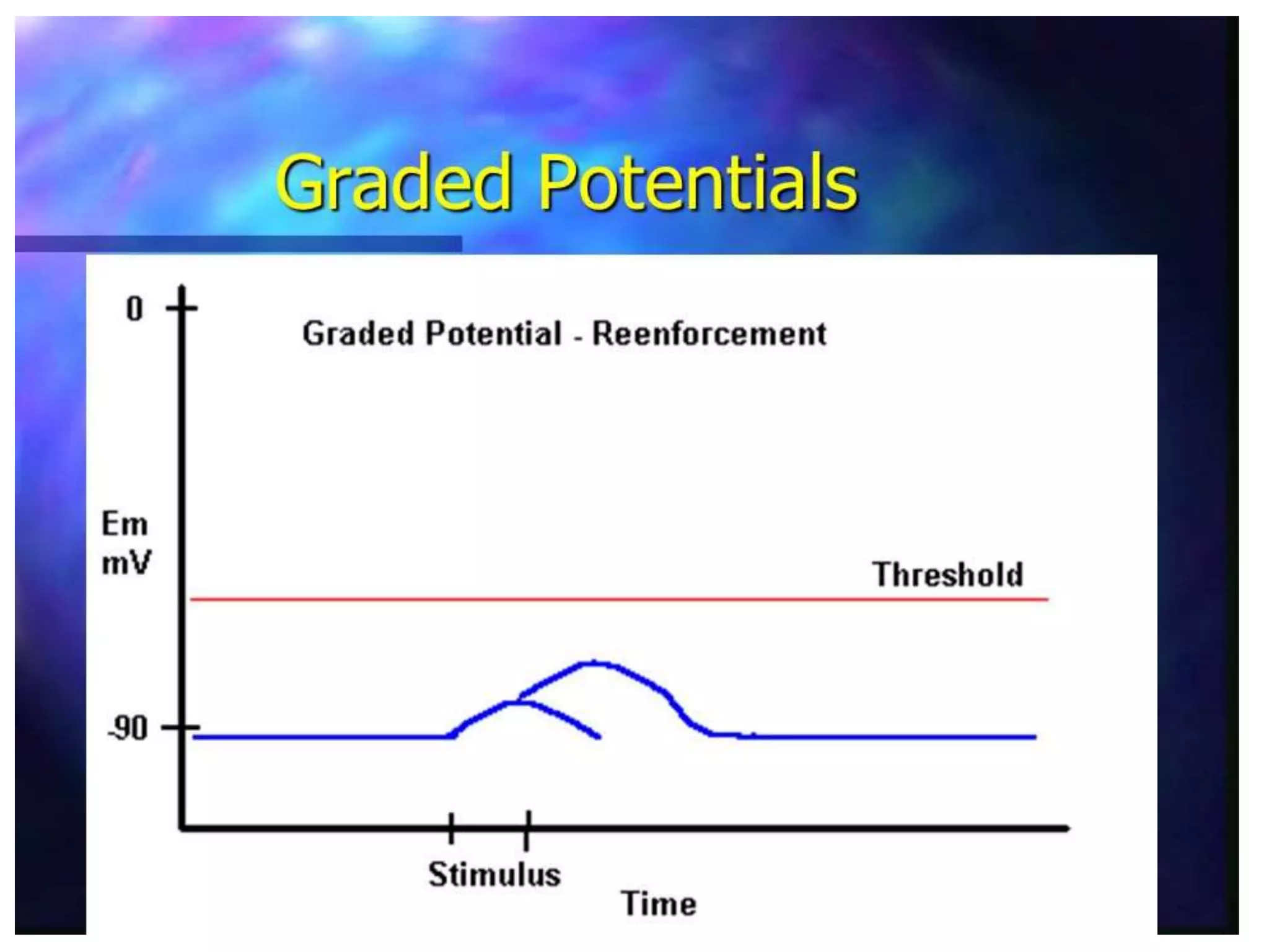 Resting membrane potential | PPTX