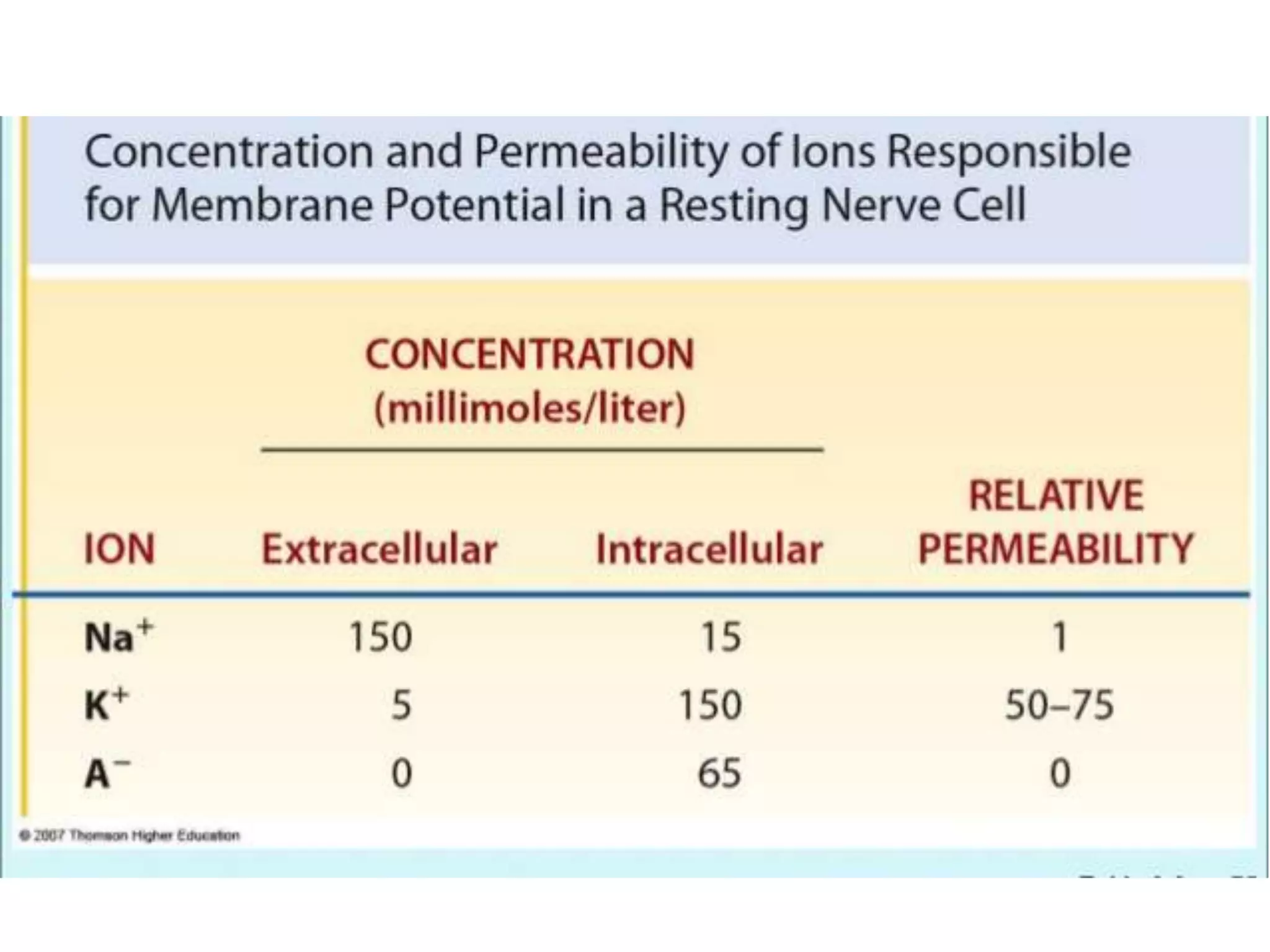 Resting membrane potential | PPTX