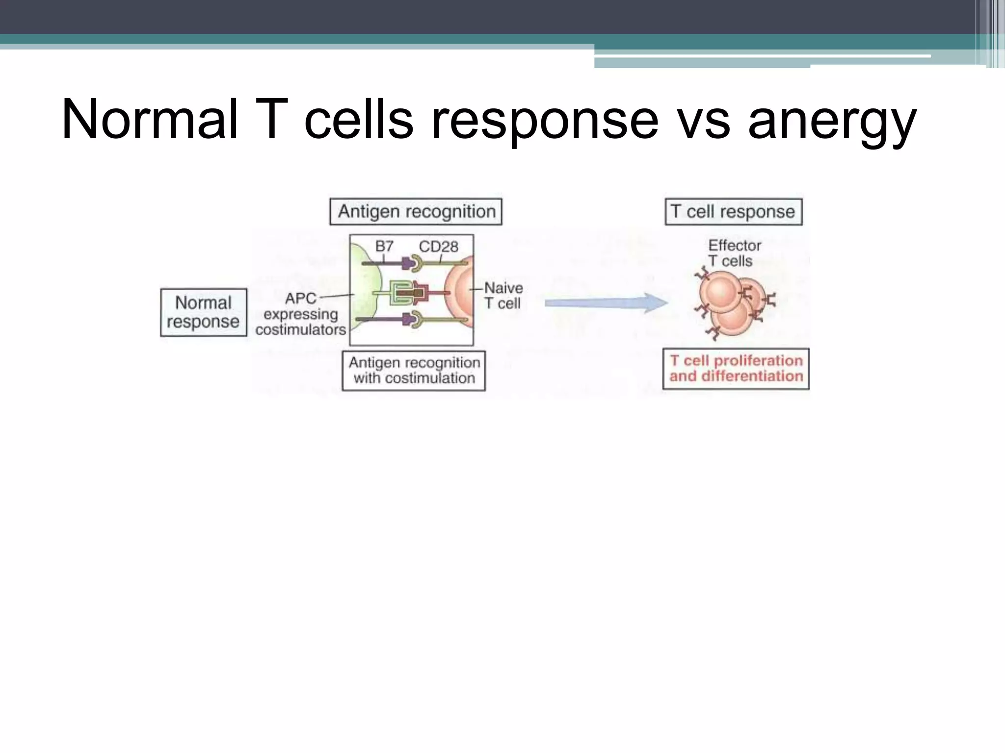 Principles of tolerance and autoimmune diseases | PPTX