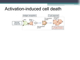 Principles of tolerance and autoimmune diseases | PPTX