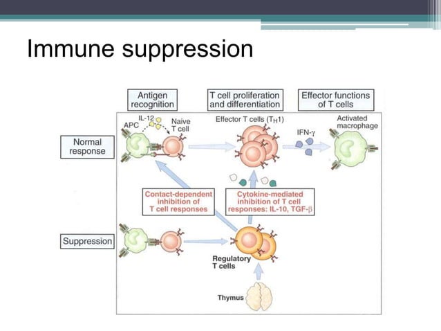 Principles of tolerance and autoimmune diseases | PPTX