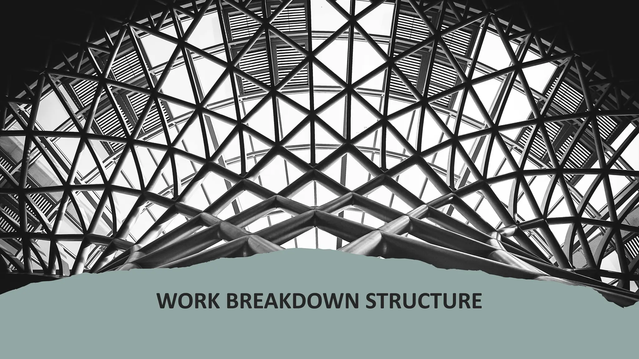 Restaurant Management System Project plan ppt.pptx