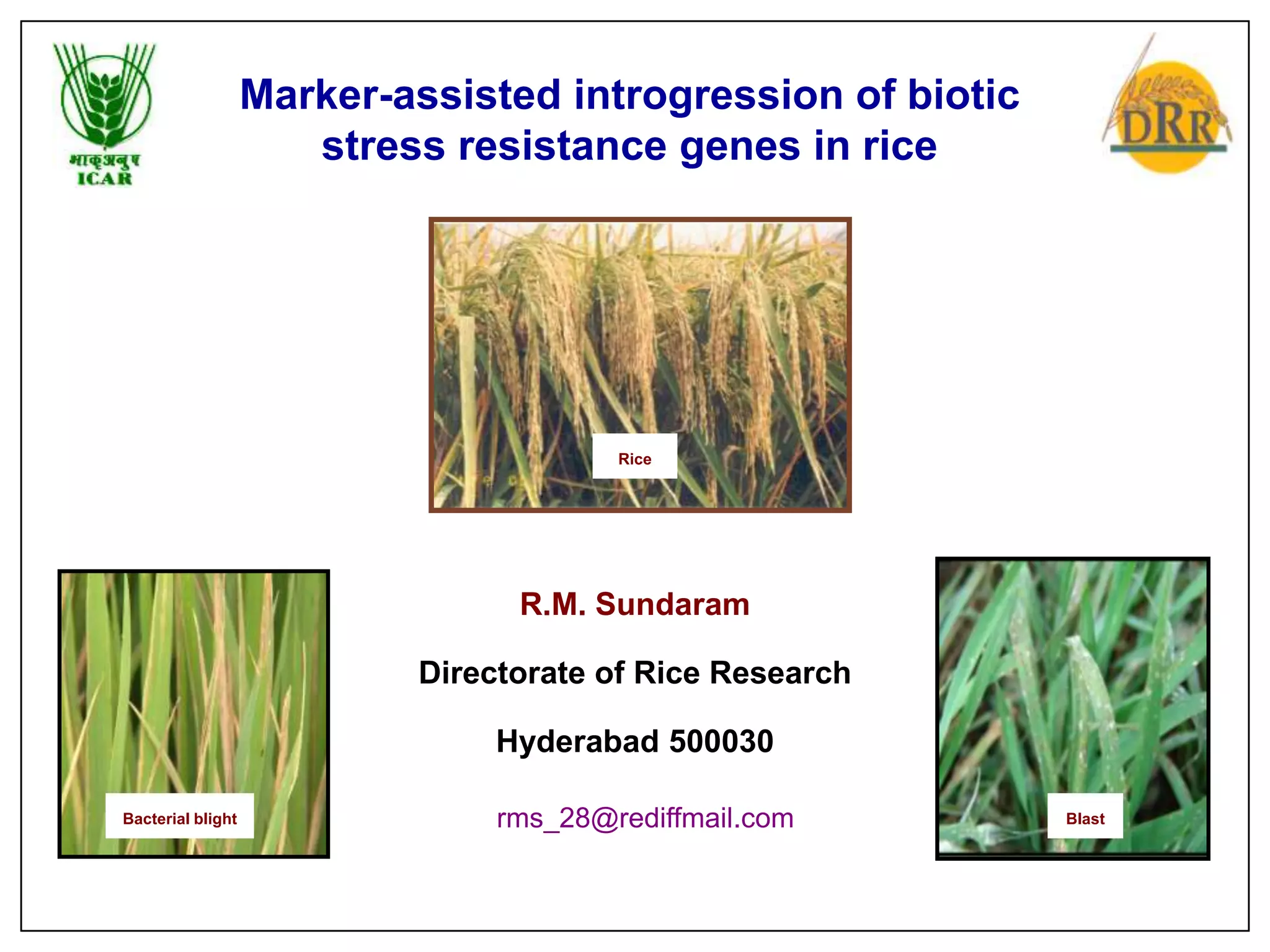 Marker assisted breeding of biotic stress resistance in Rice | PPT