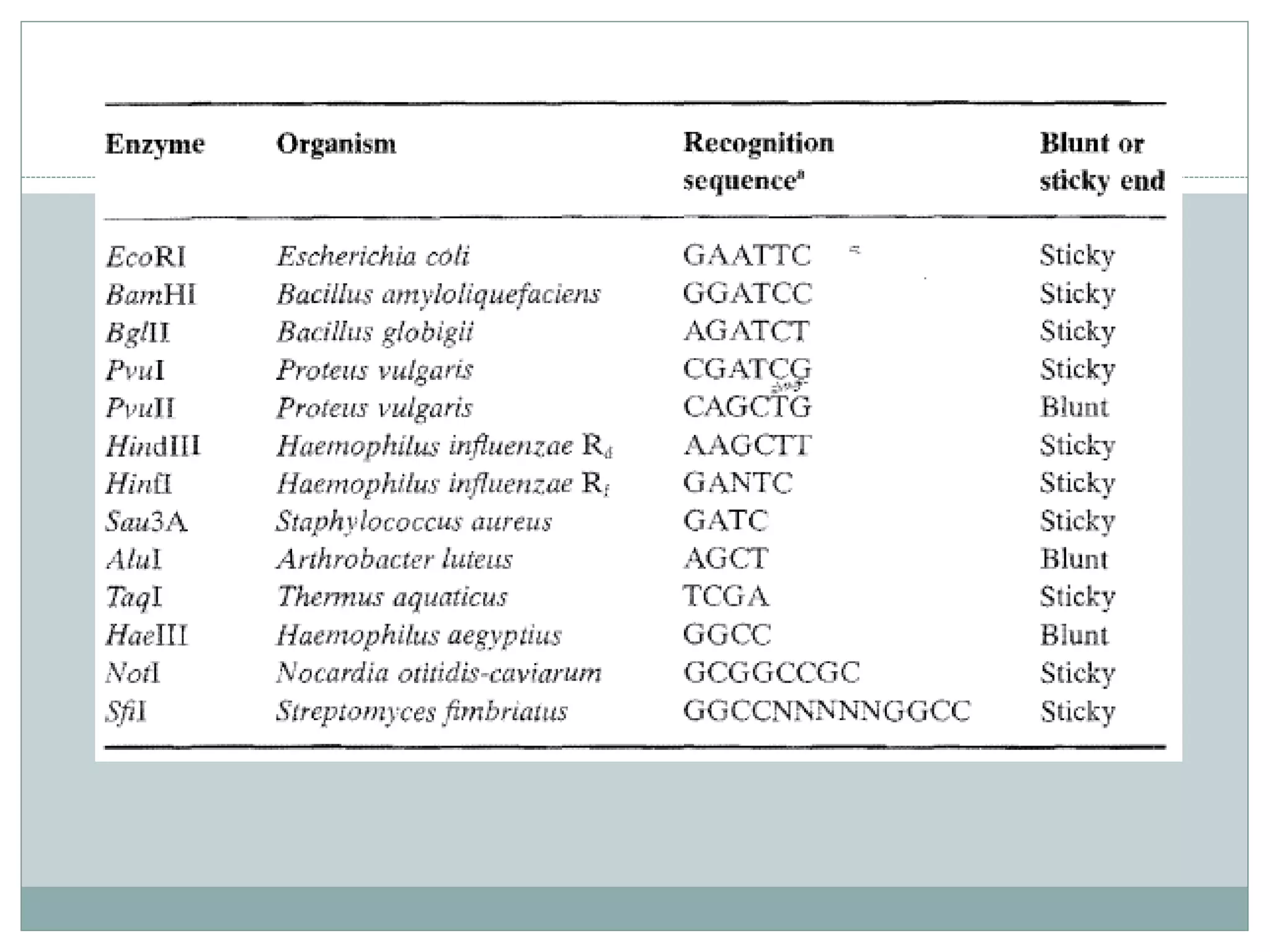 Restriction Modification System Types Of Restriction Enzymes Pptx