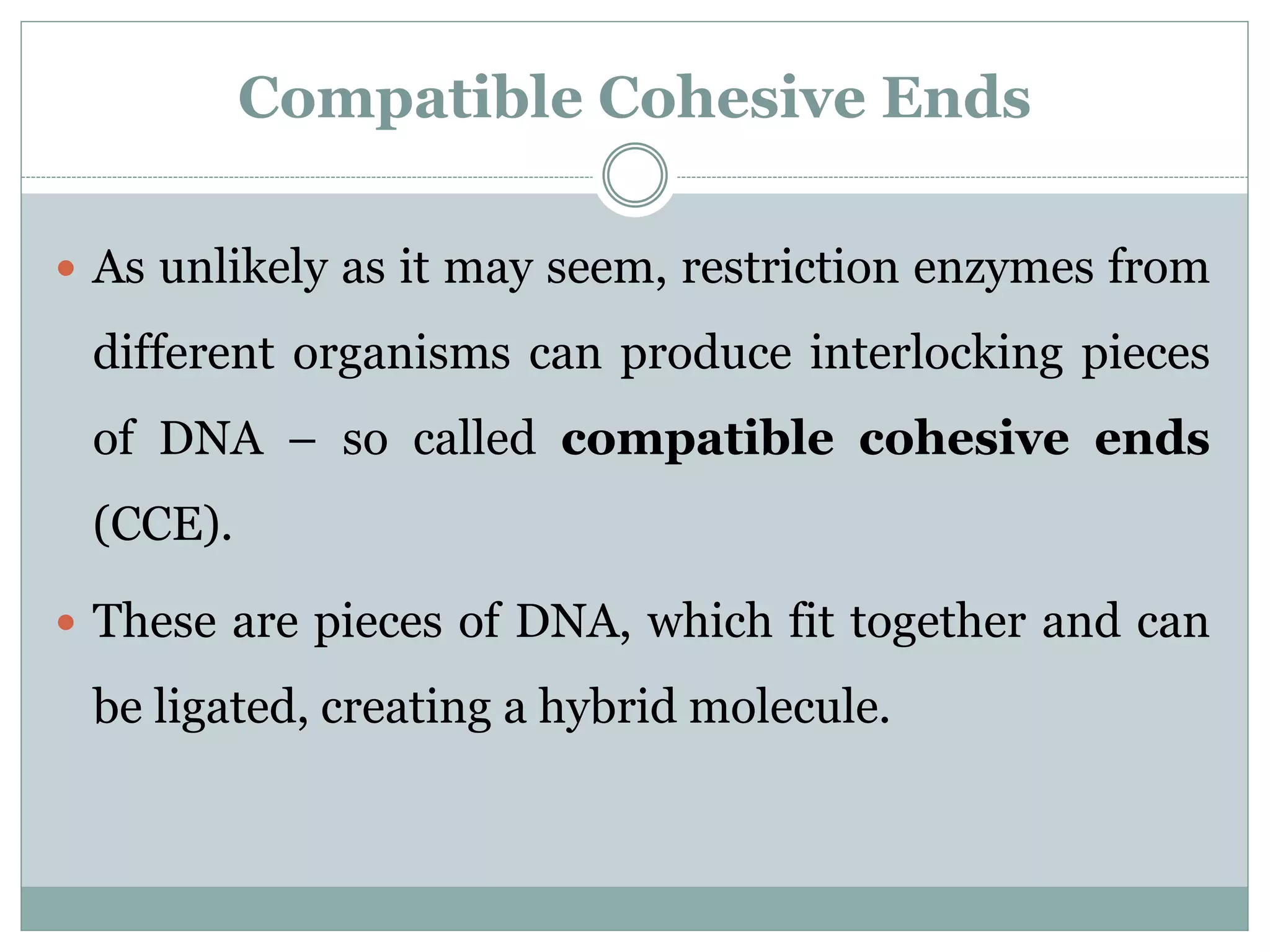 Restriction Modification System Types Of Restriction Enzymes Pptx