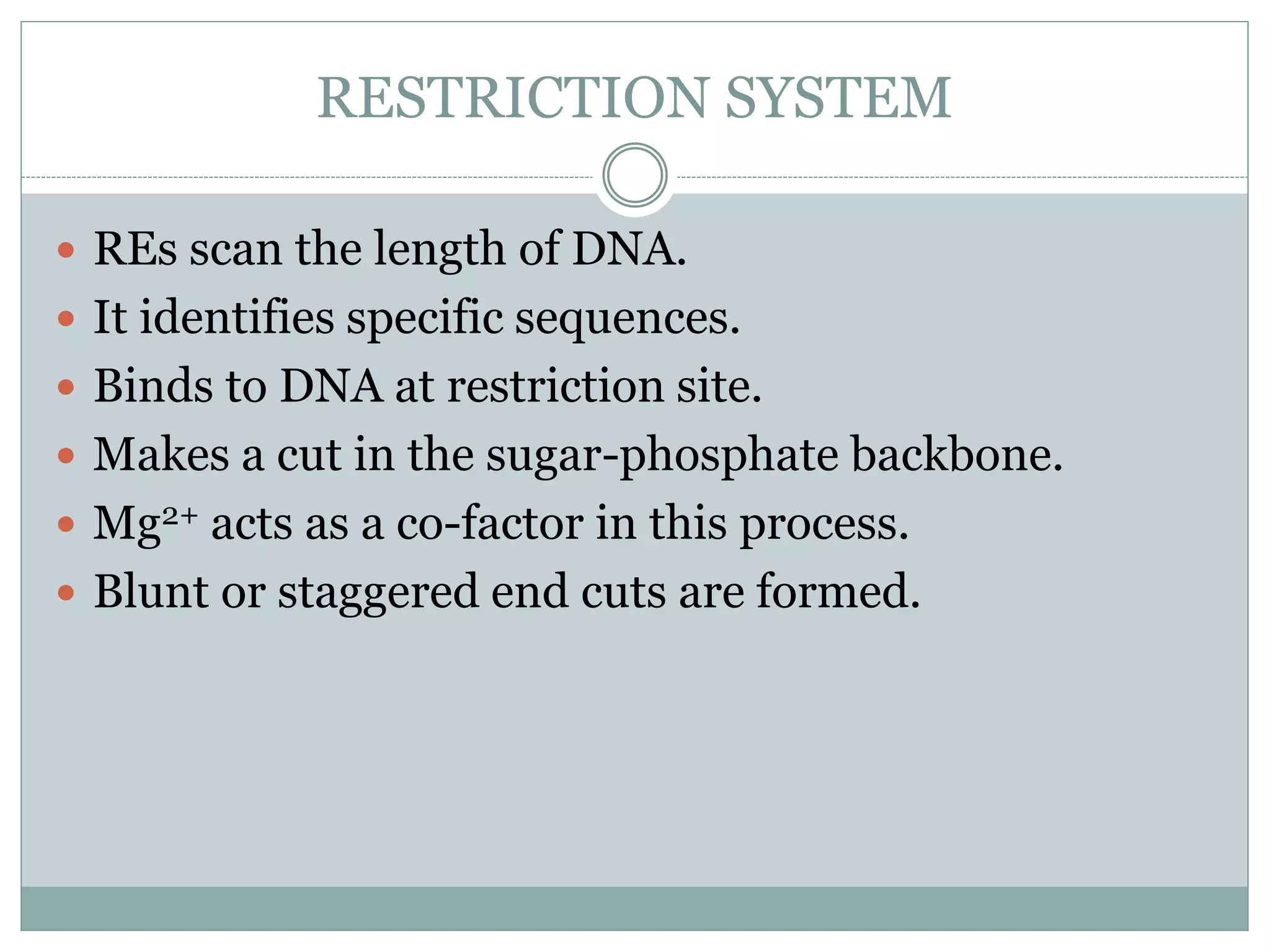 Restriction Modification System Types Of Restriction Enzymes Pptx