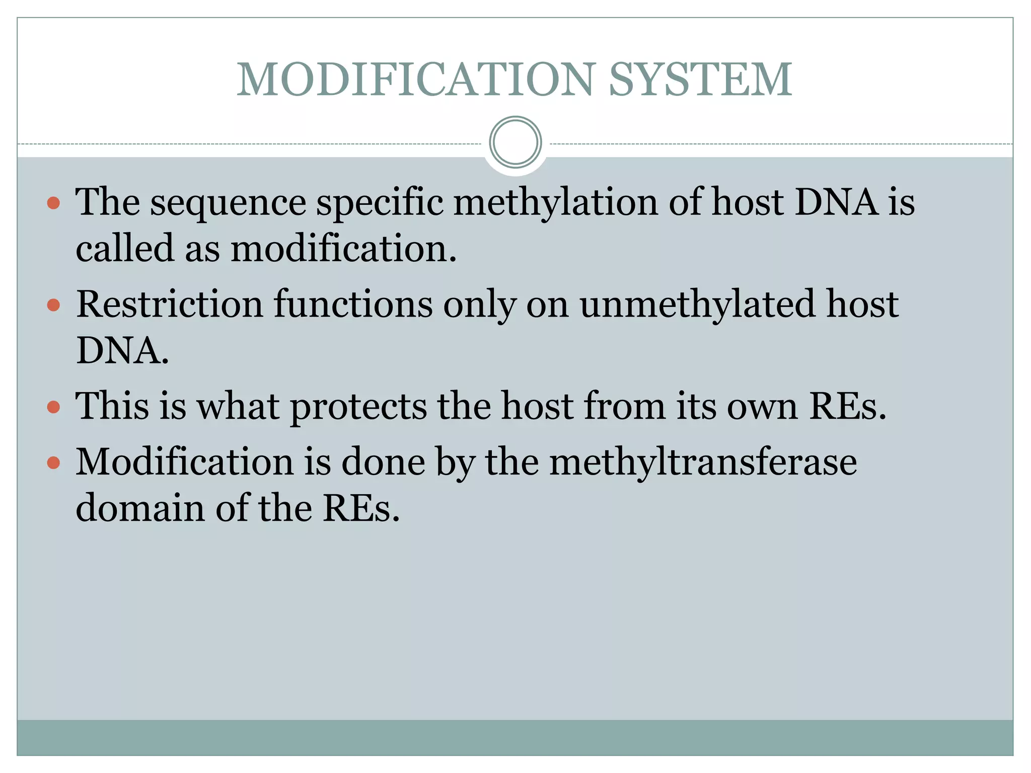 Restriction Modification System Types Of Restriction Enzymes Pptx