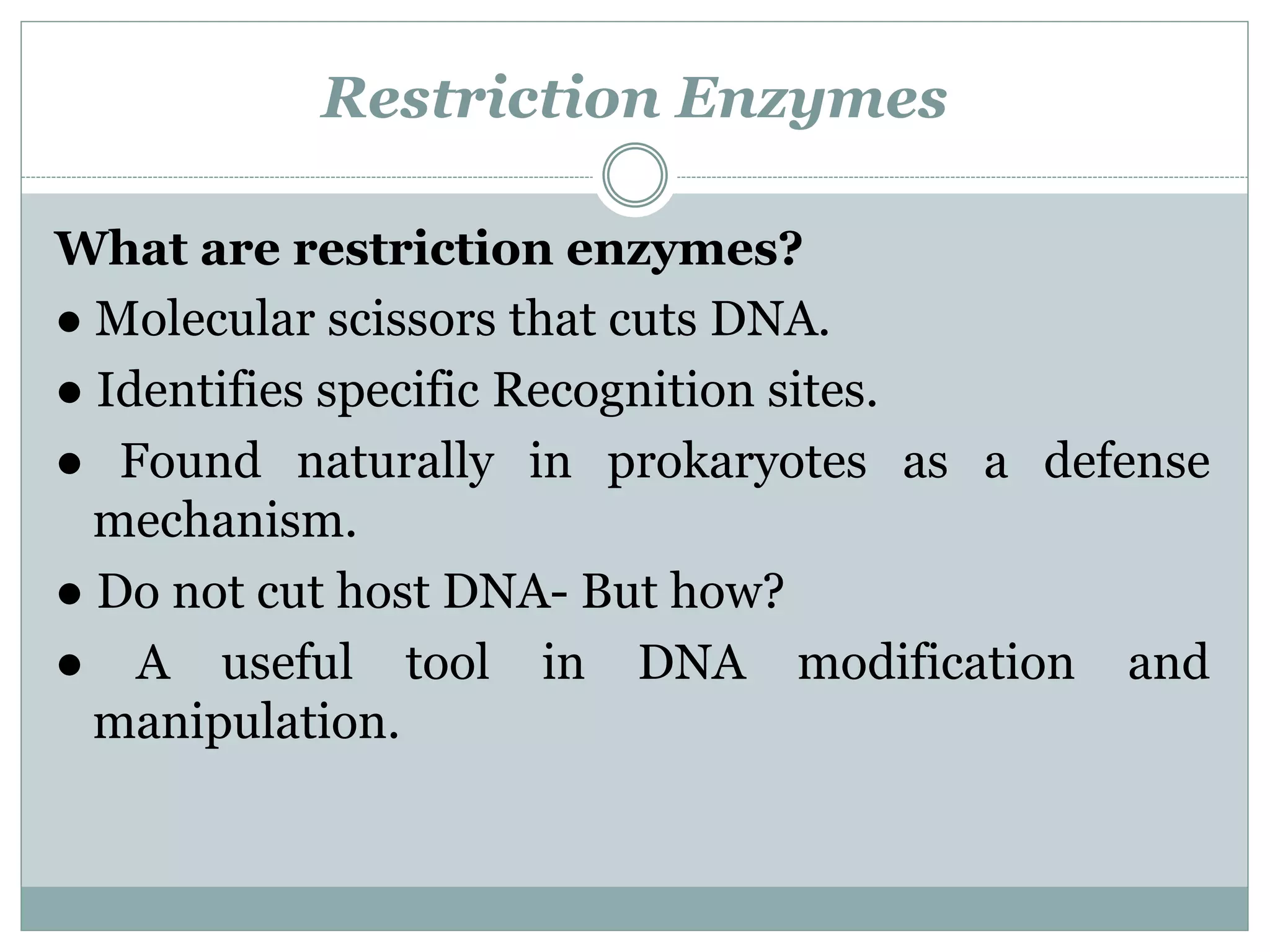 Restriction Modification System Types Of Restriction Enzymes Pptx