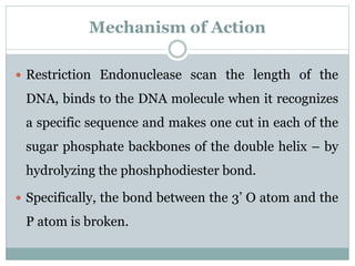 Restriction-Modification system, Types of Restriction enzymes | PPTX