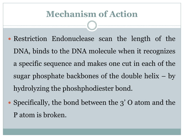 Restriction-Modification system, Types of Restriction enzymes | PPTX