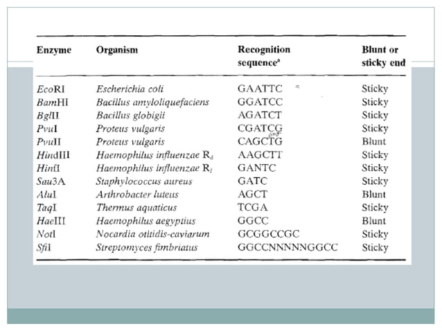 Restriction-Modification system, Types of Restriction enzymes | PPTX