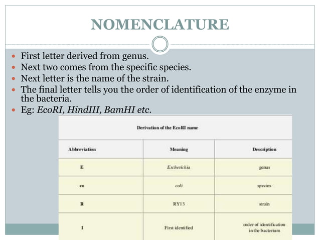 Restriction Modification System Types Of Restriction Enzymes Pptx